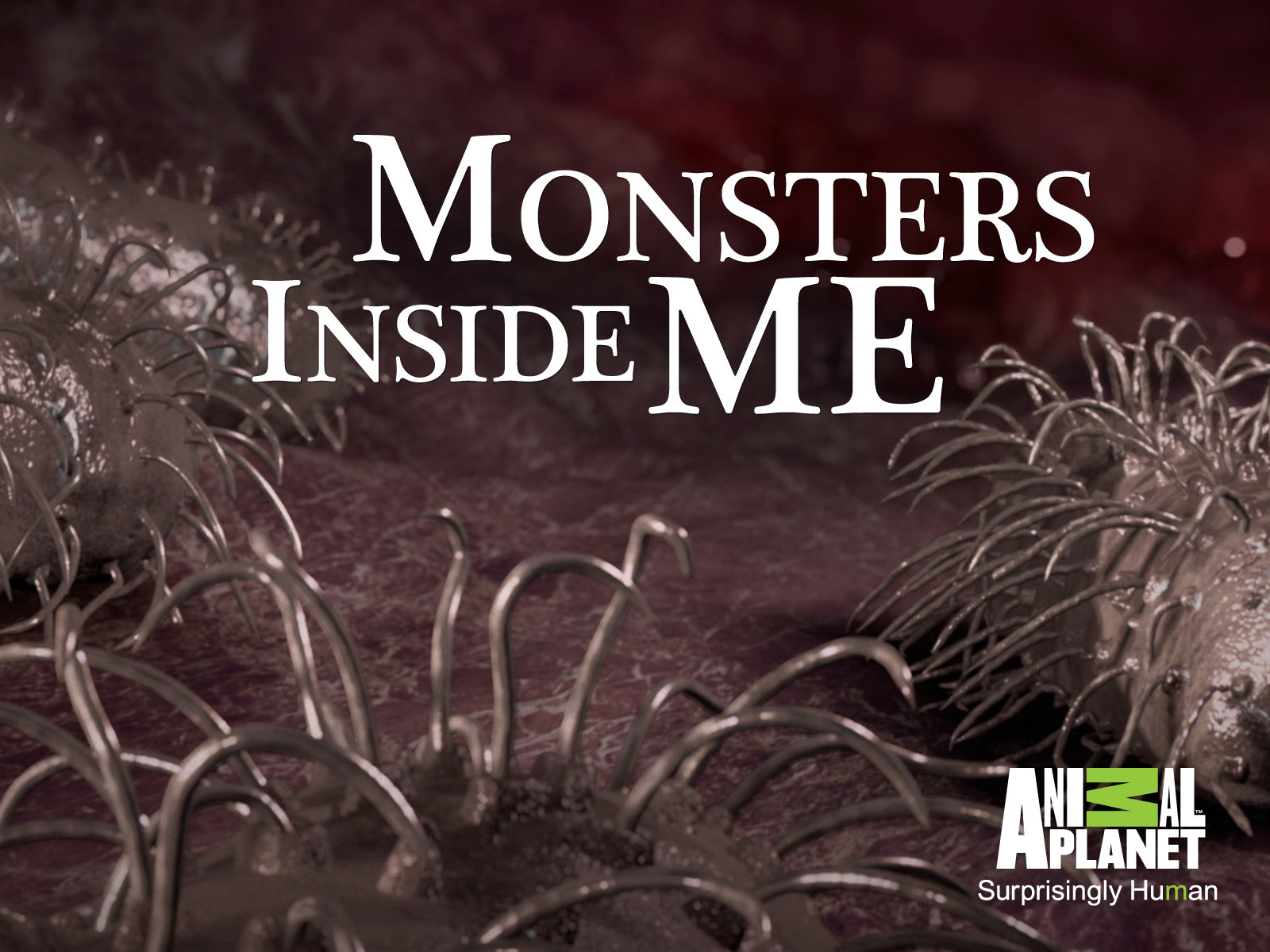 Monsters Inside Me Lurkers