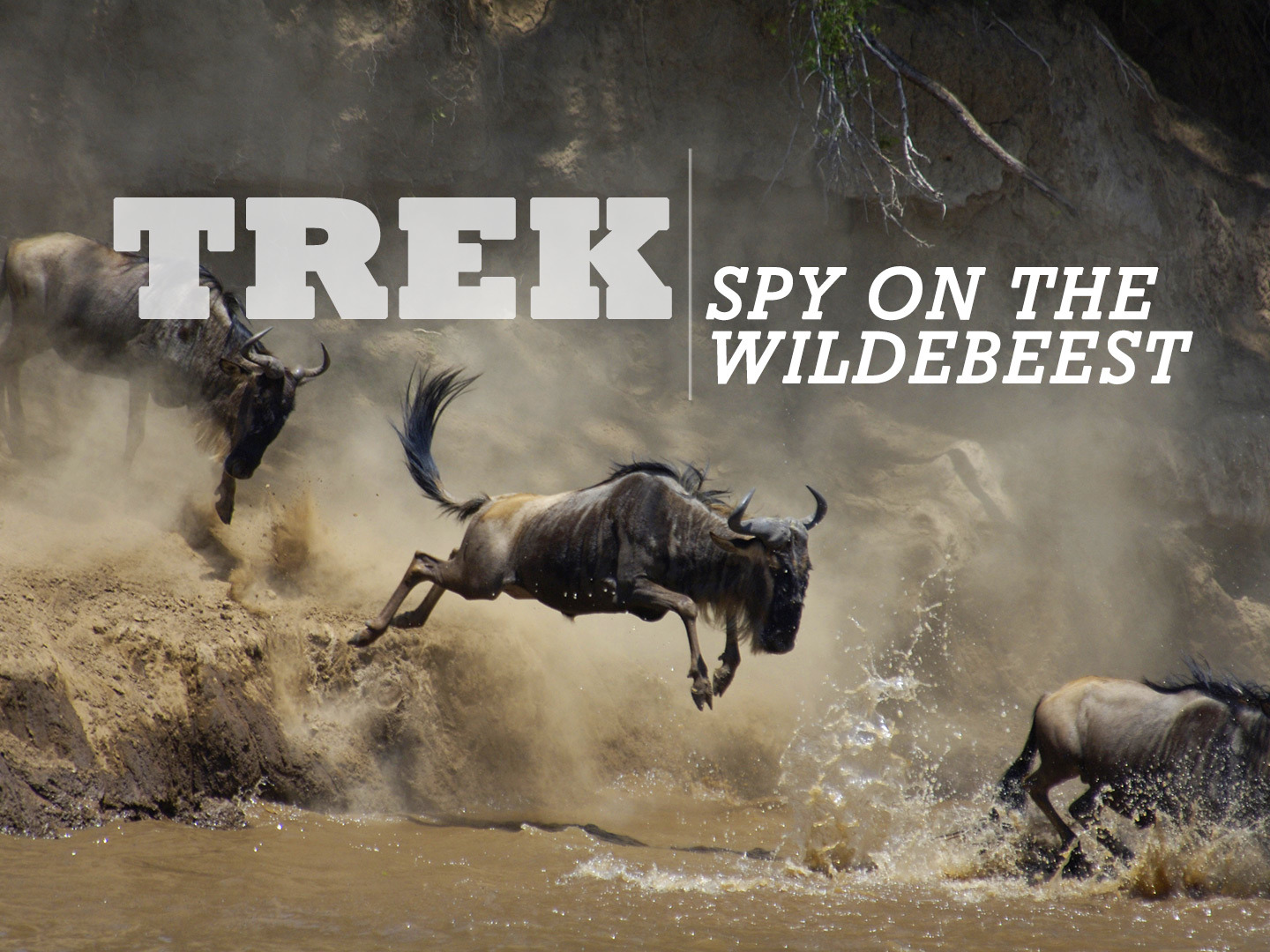 Prime Video: Trek Spy on the Wildebeest - Season 1