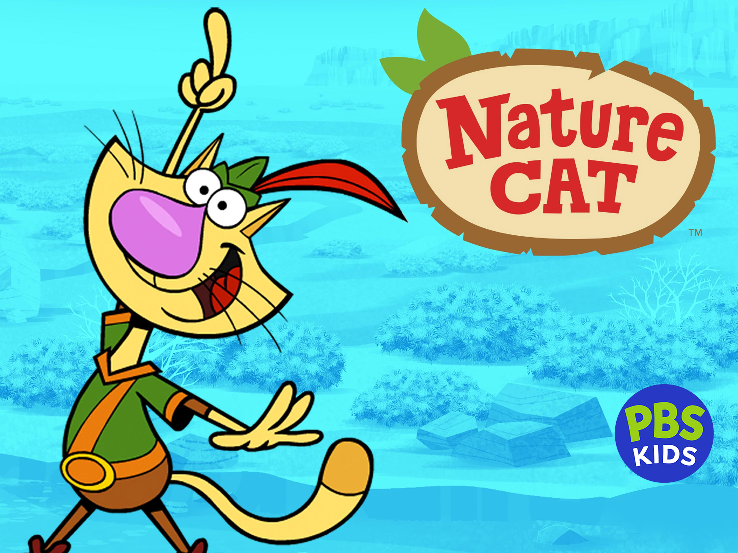 Prime Video: Nature Cat Season 2