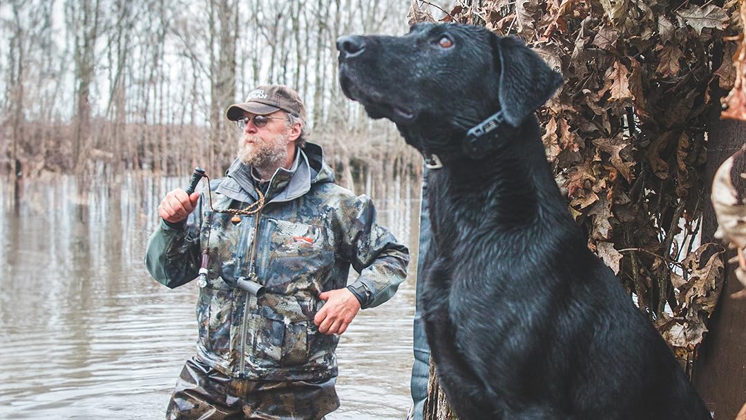 Prime Video: RNT-V - Season 18