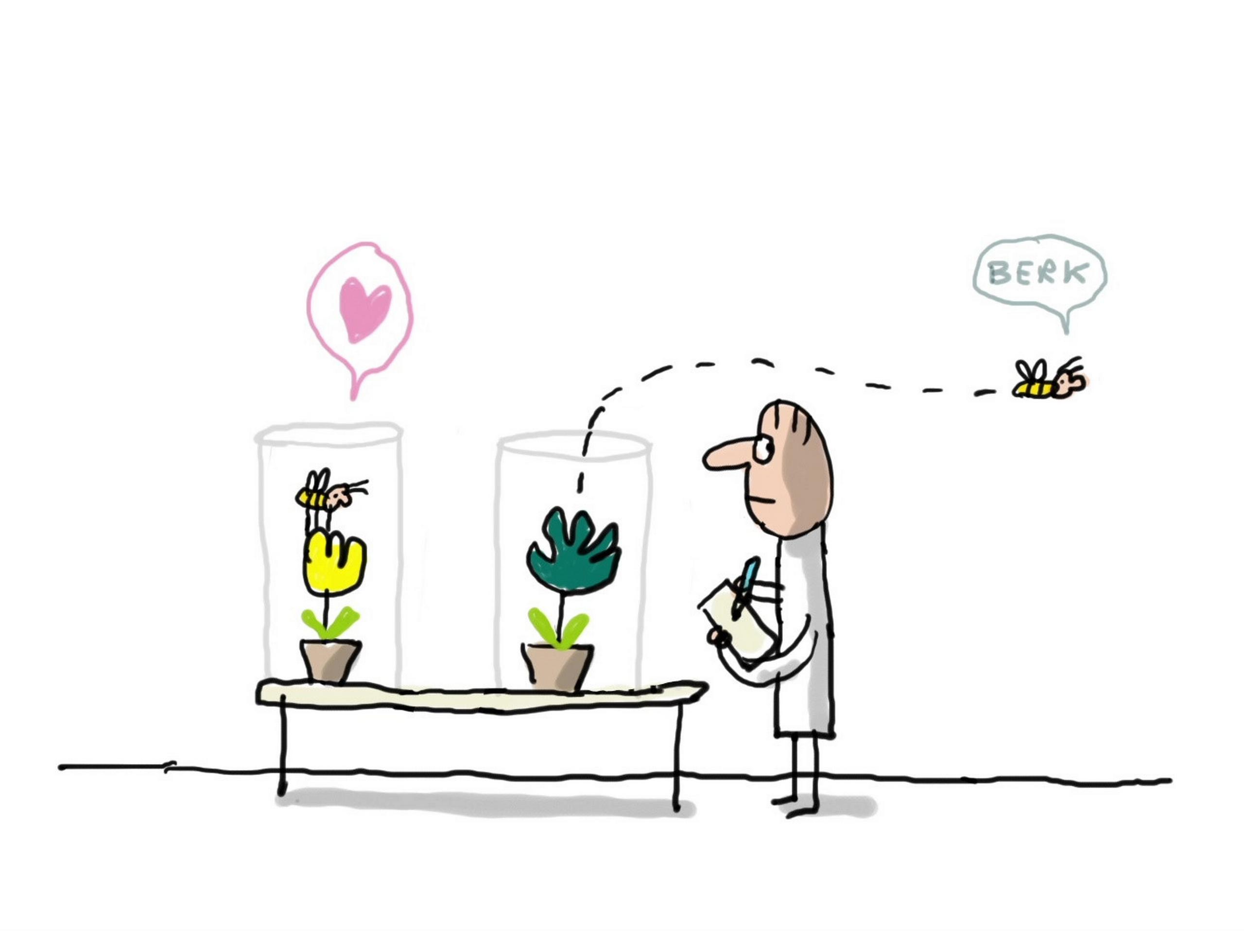 Prime Video: 1 jour, 1 question - Saison 3