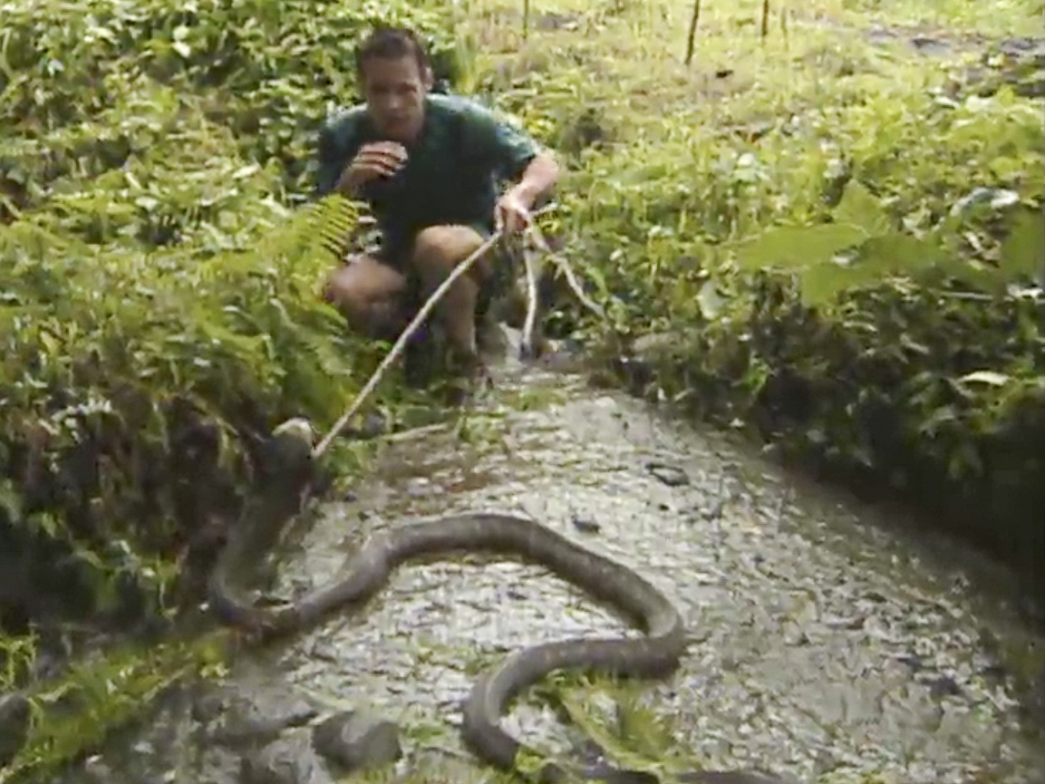 Prime Video: The Jeff Corwin Experience - Season 1