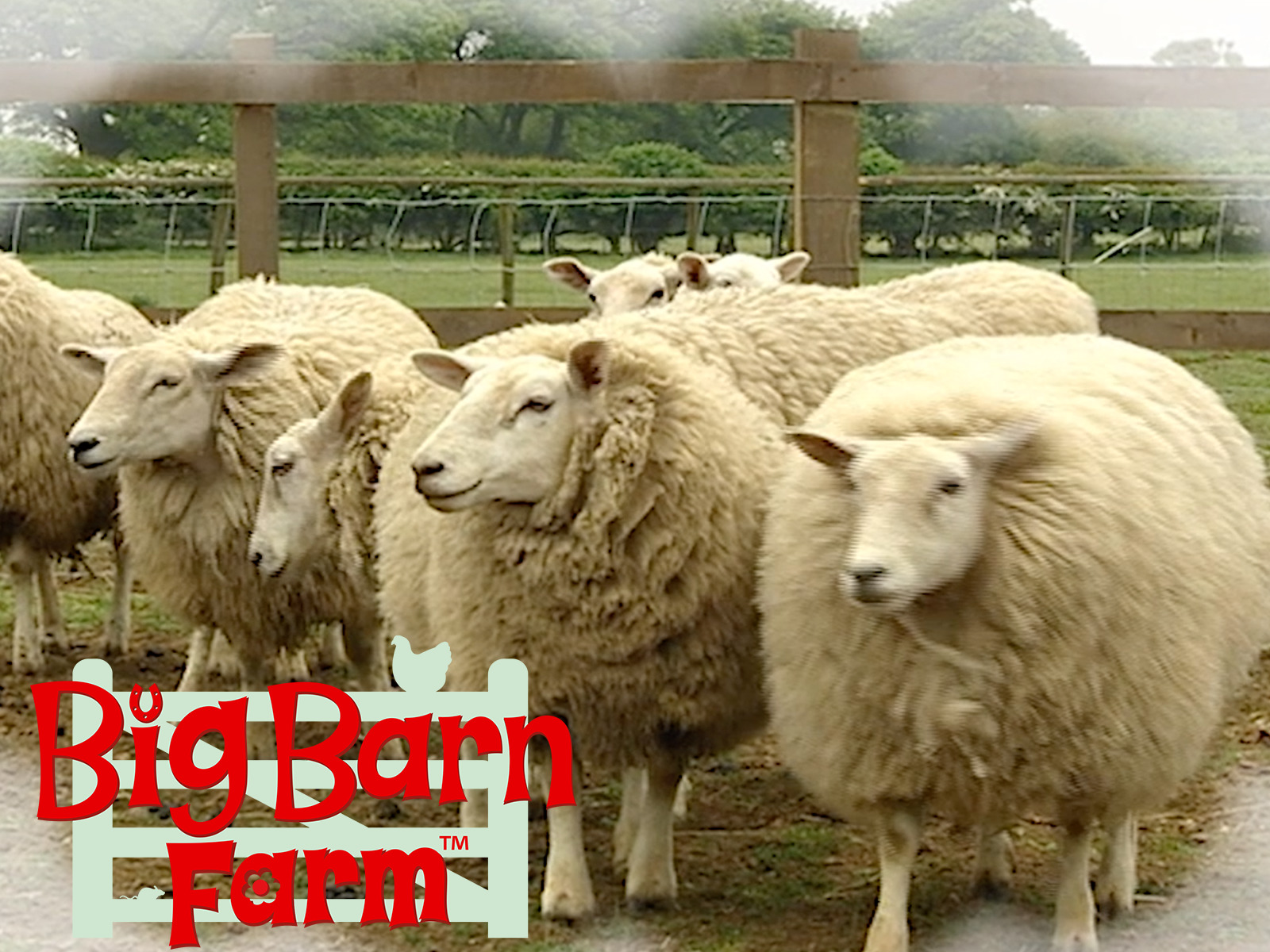 Prime Video: Big Barn Farm