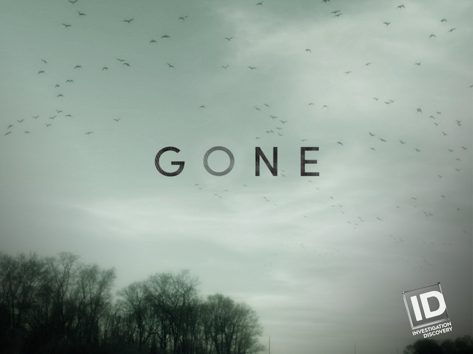 Prime Video: Gone - Season 1