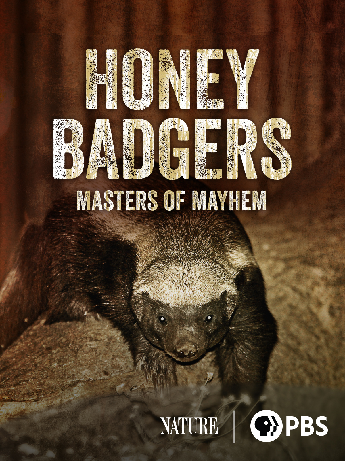 Prime Video: Honey Badgers: Masters of Mayhem