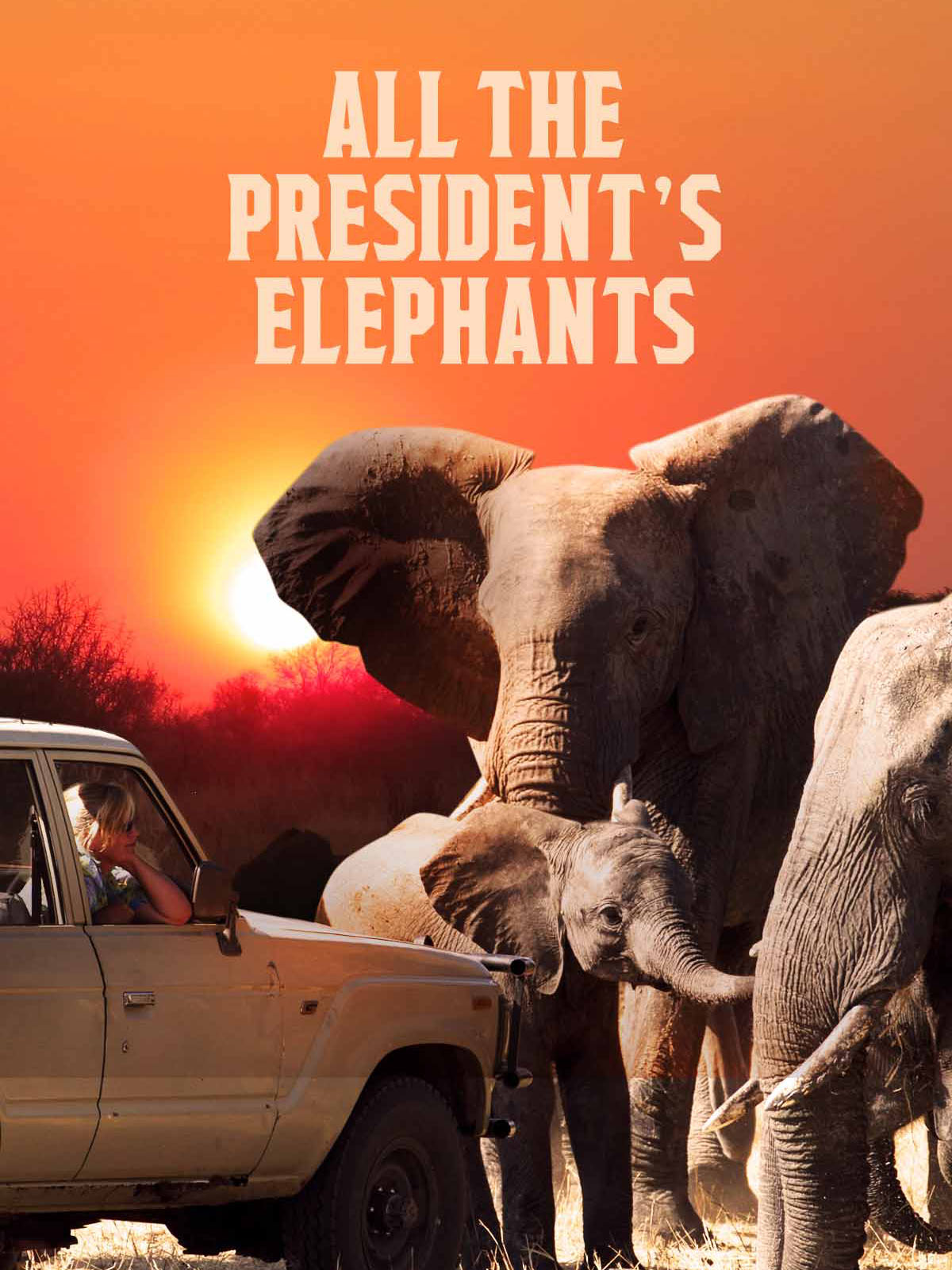 Prime Video: All The President's Elephants