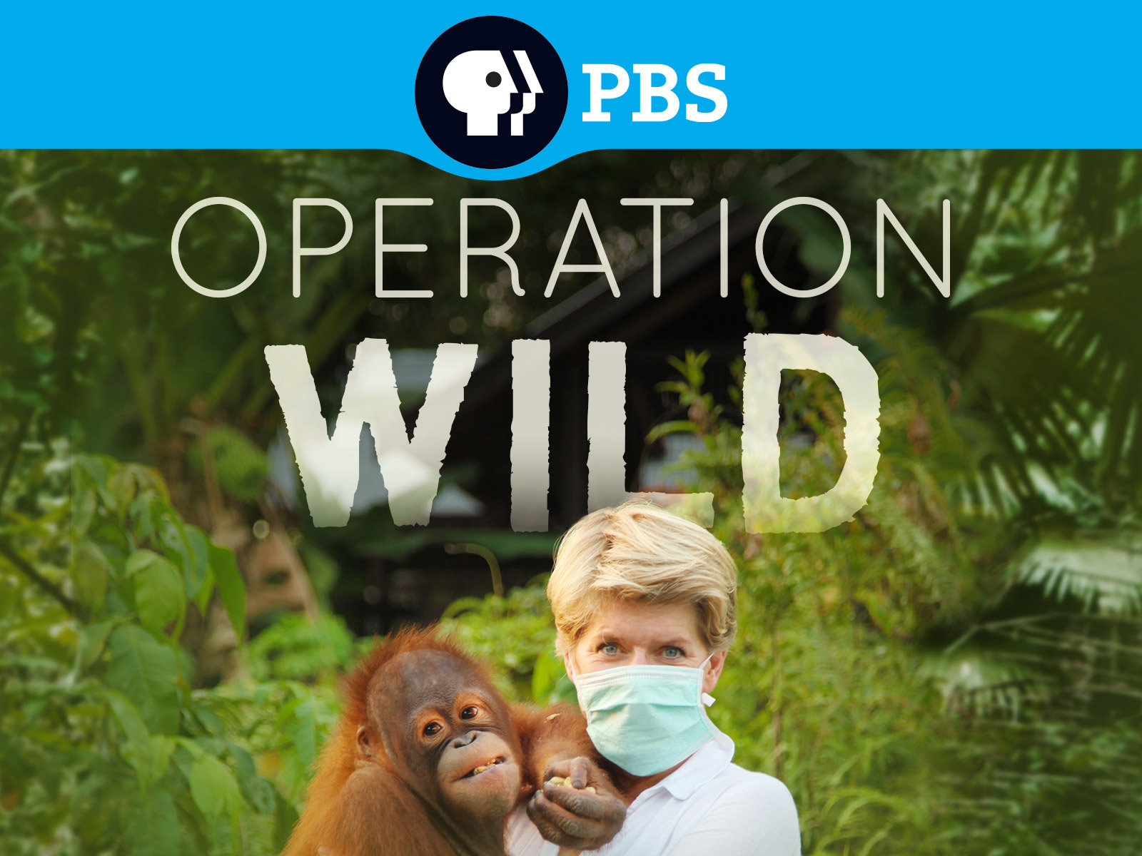 Prime Video: Operation Wild