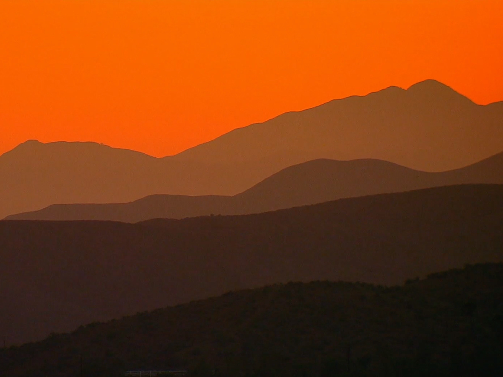 Prime Video: Steve Austin's Broken Skull Ranch Challenge