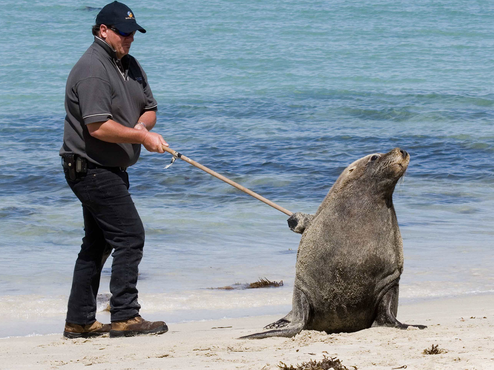 Prime Video: Wildlife Rescue and Forensics - Season 1