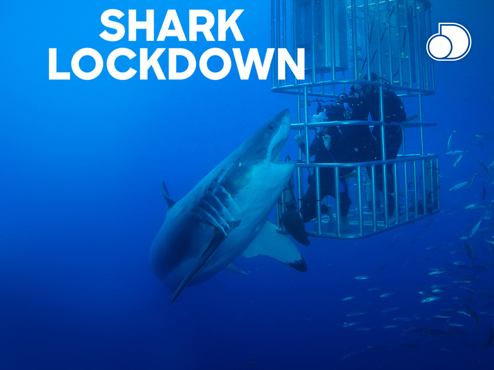 Prime Video: Shark Lockdown - Season 1