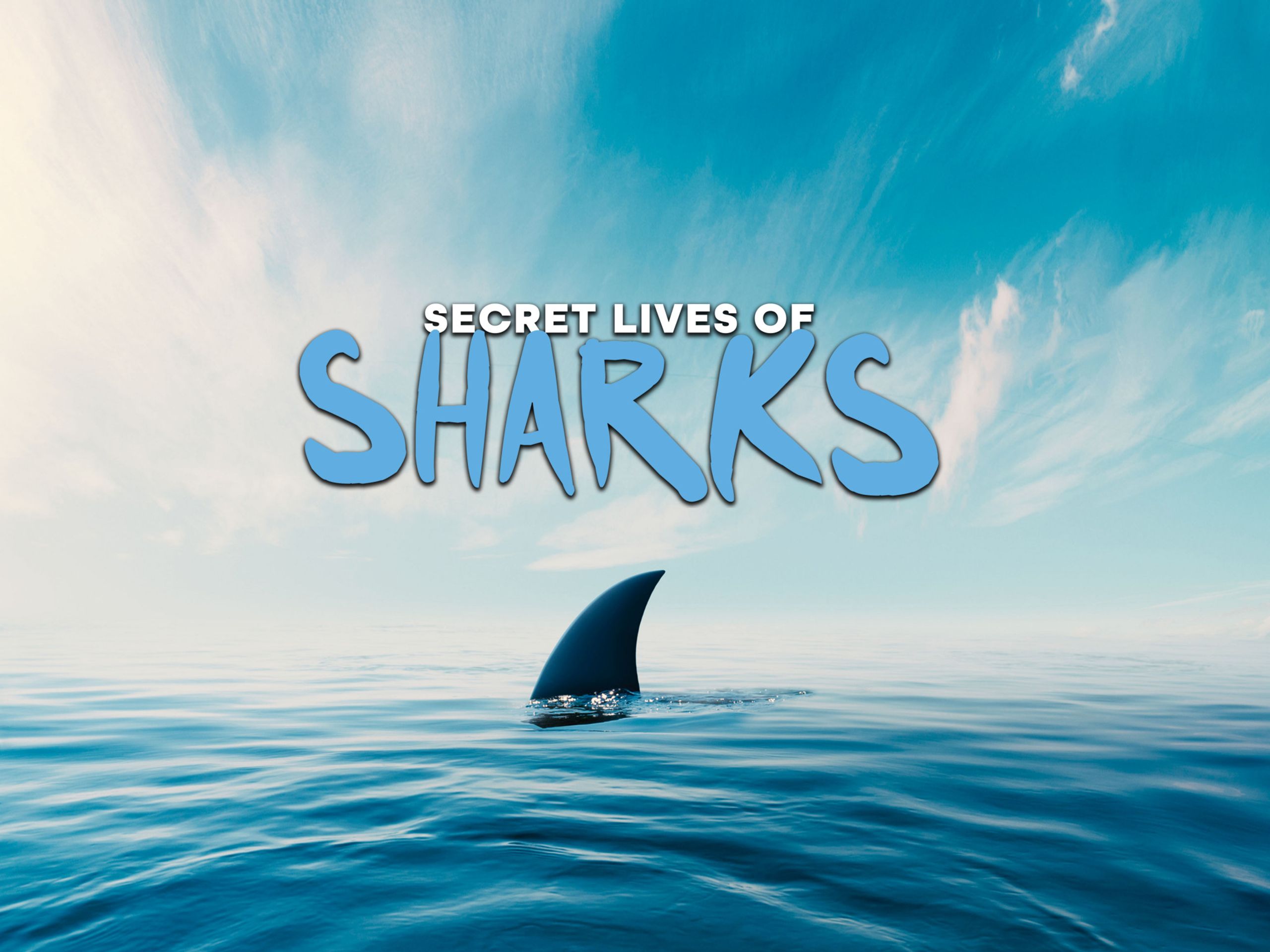 Prime Video: The Secret Lives of Sharks - Season 1
