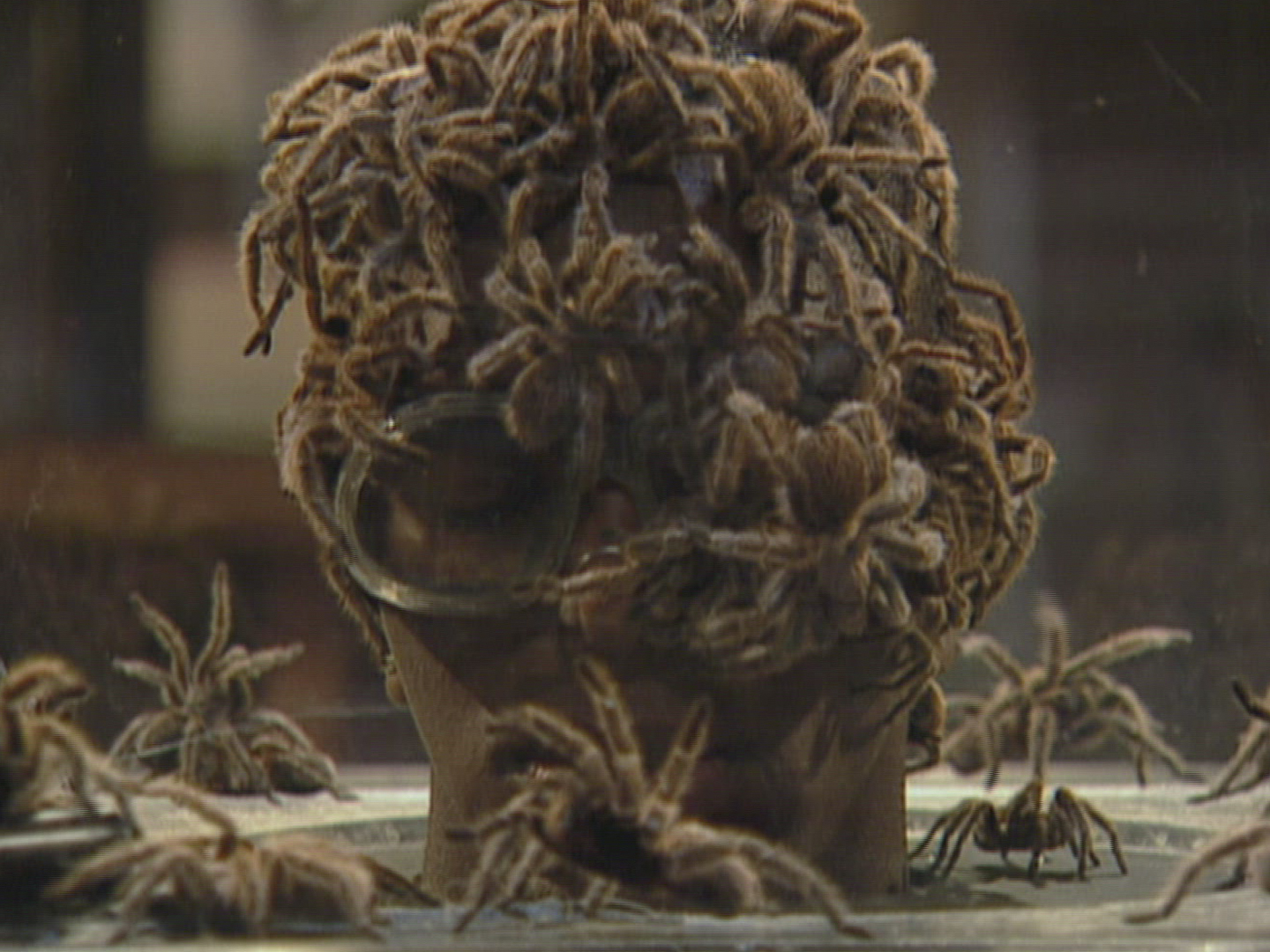 Prime Video: Fear Factor - Season 2