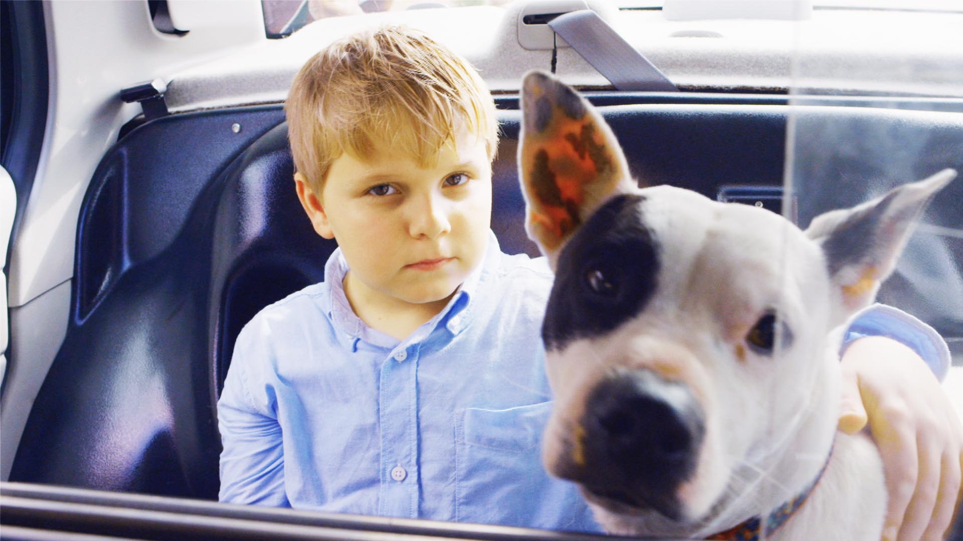 Watch The Chronicles Of Ernie And Cerbie | Prime Video