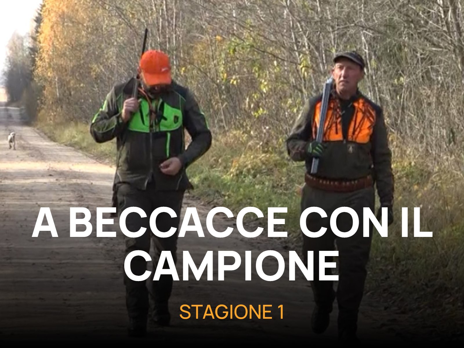 Prime Video: A beccacce con il campione