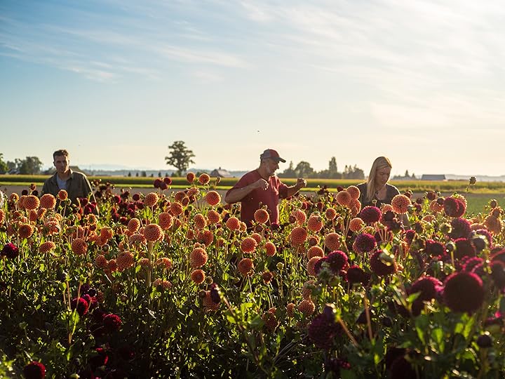 Prime Video: Growing Floret - Season 1