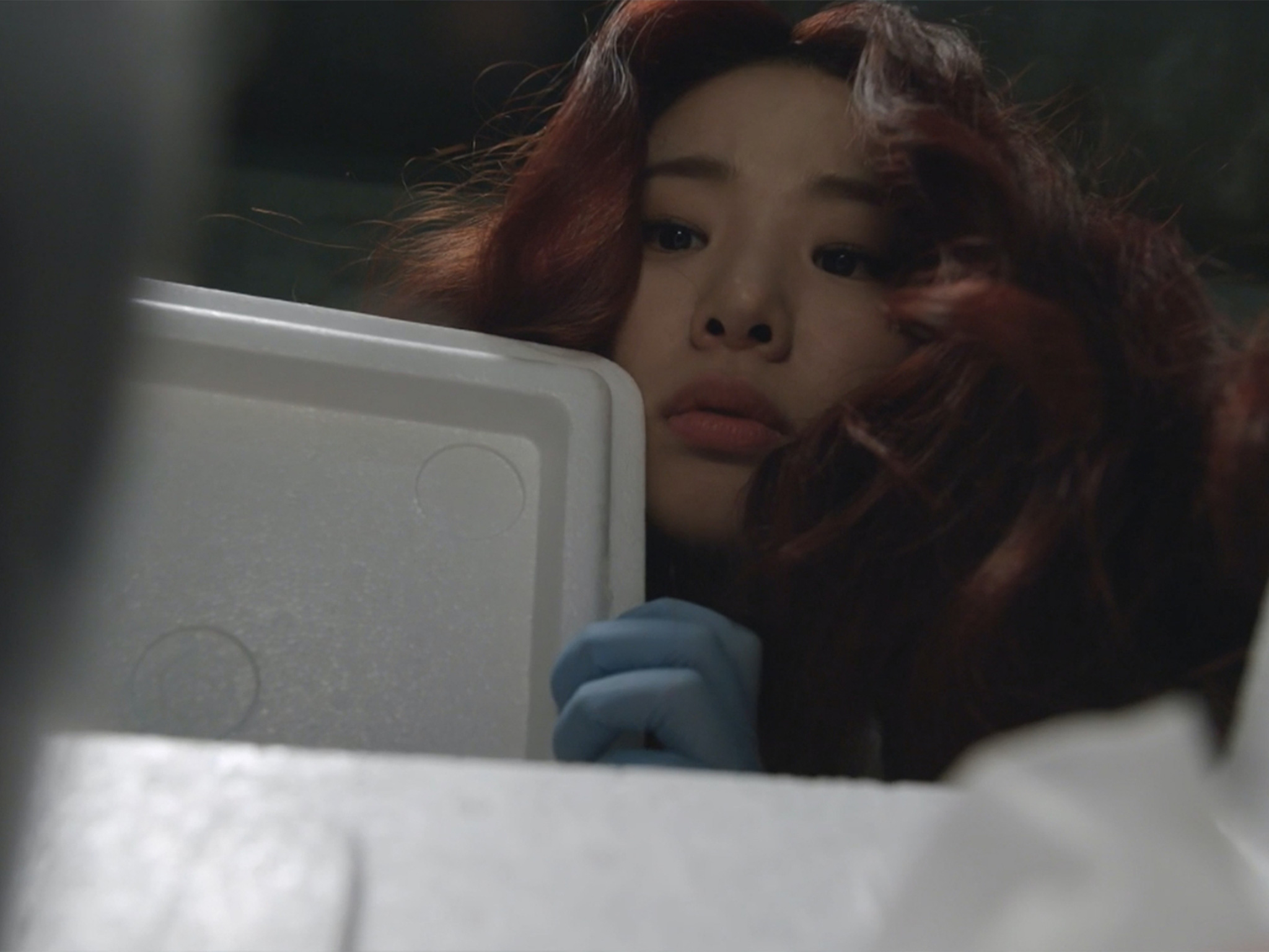 Prime Video: Partners for Justice