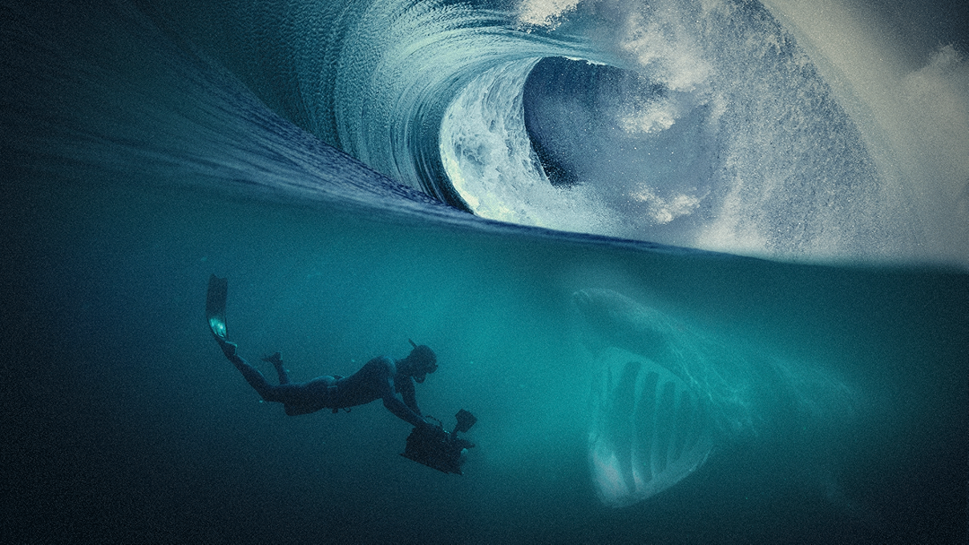 Prime Video: North Atlantic: The Dark Ocean