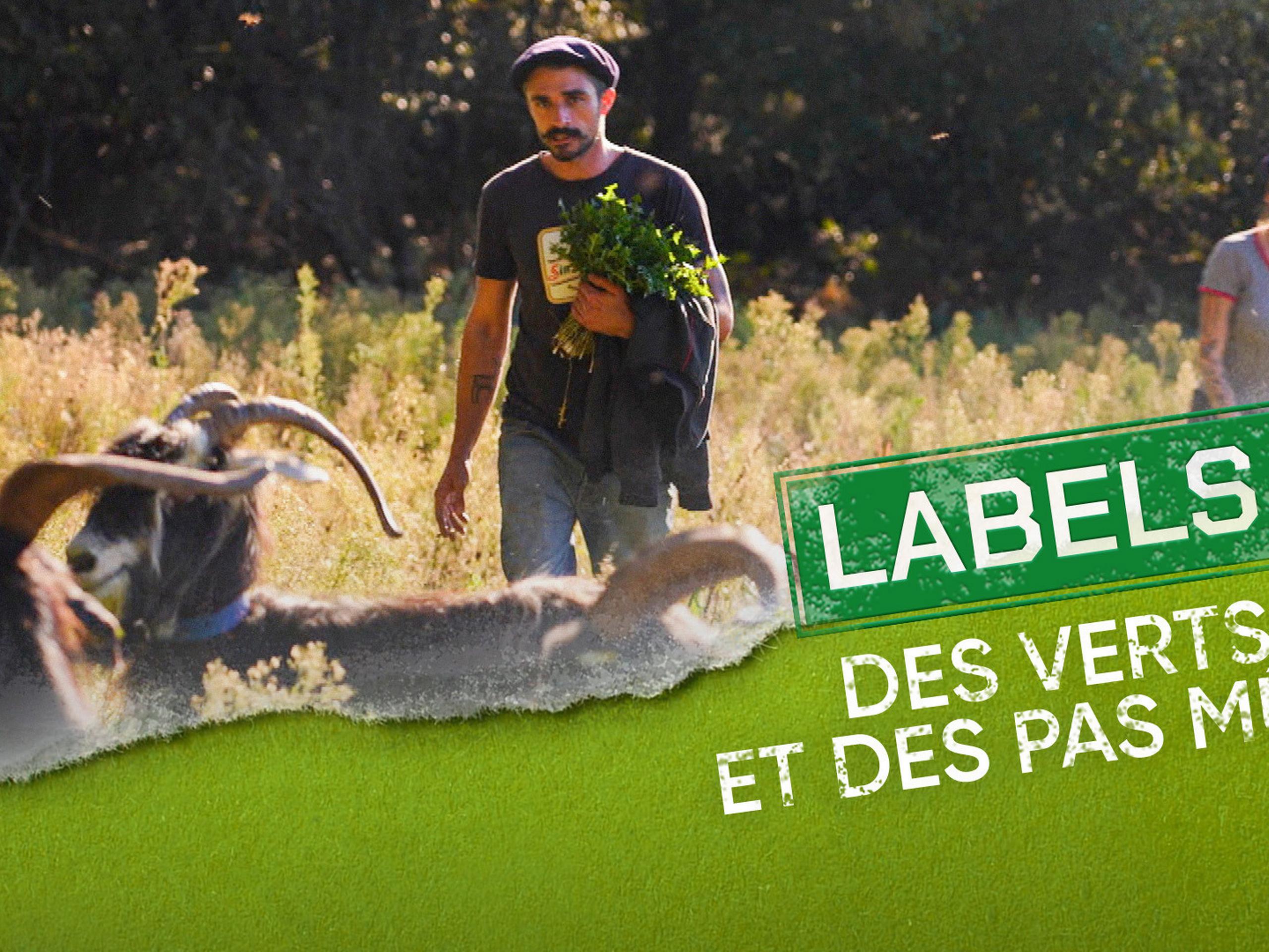 Prime Video: Labels : des verts et des pas mûrs - Saison 1