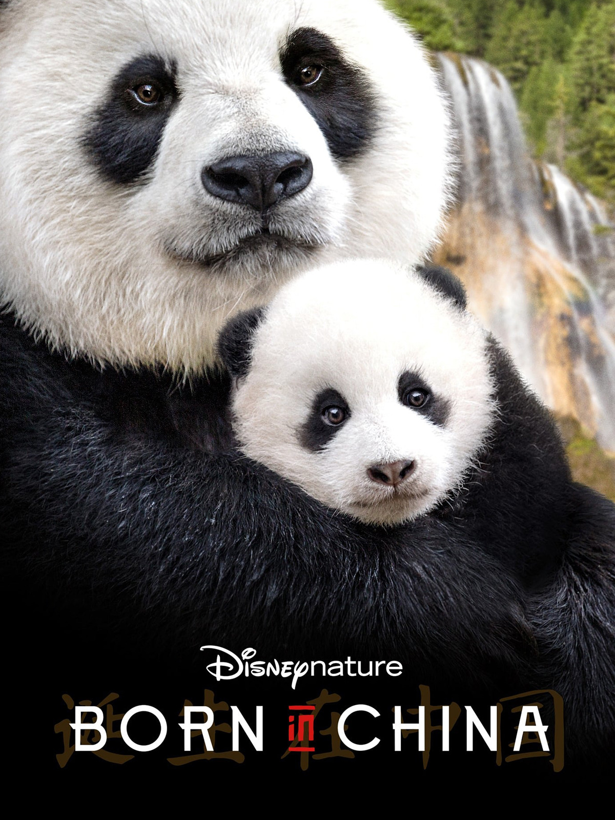 Prime Video: Disneynature: Born in China
