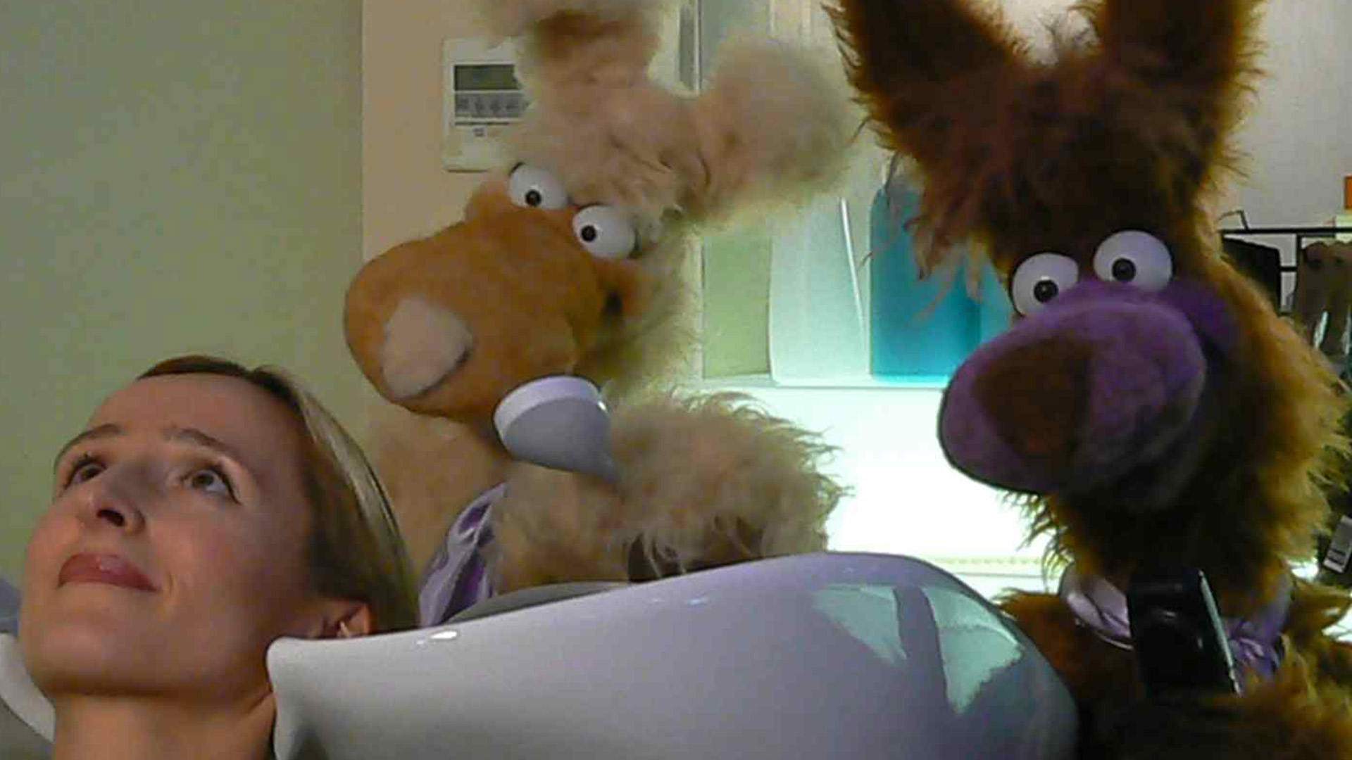 Prime Video: Nuzzle & Scratch - Season 01