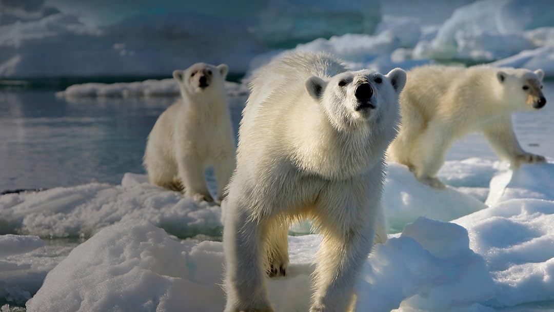 Prime Video: Planet Earth: Frozen Planet, Season 1