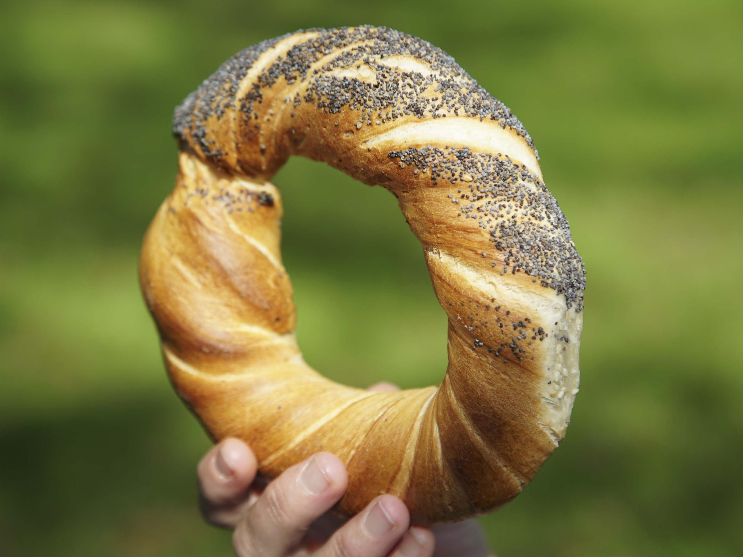 Prime Video: Bizarre Foods: Delicious Destinations - Season 11