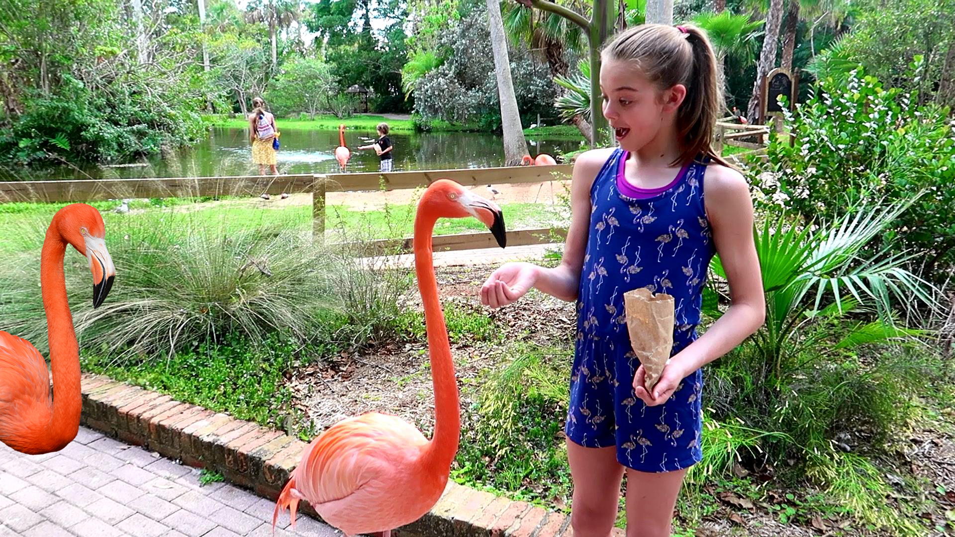 Watch Flamingos | Prime Video