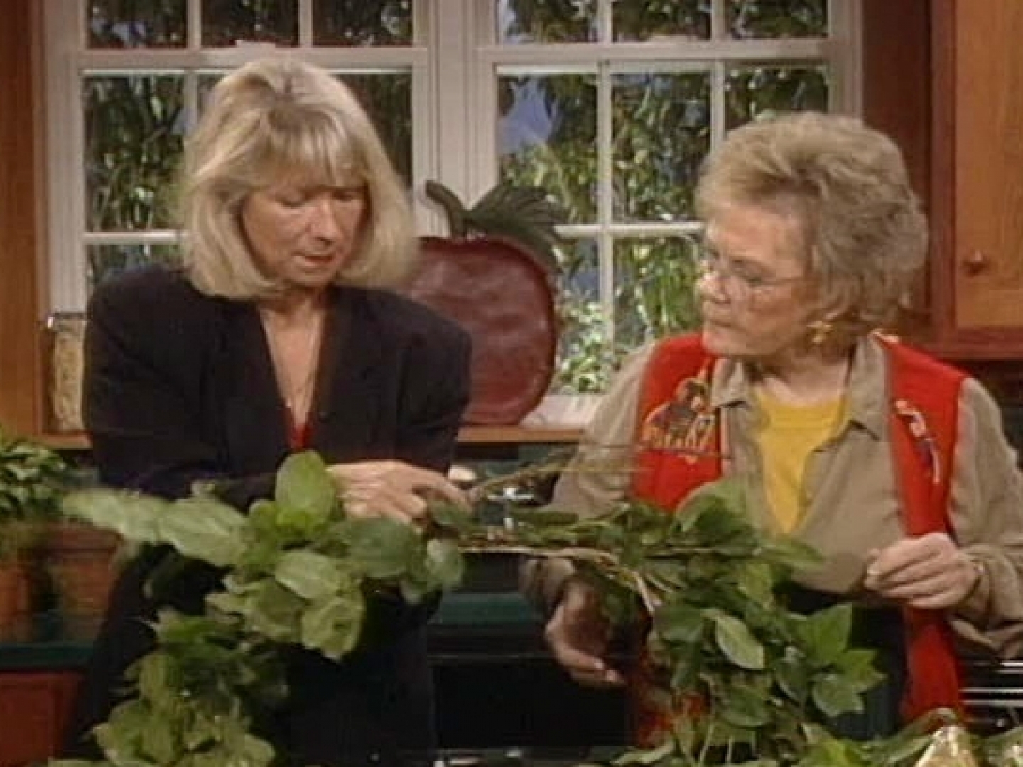 Prime Video: The Carol Duvall Show - Season 1