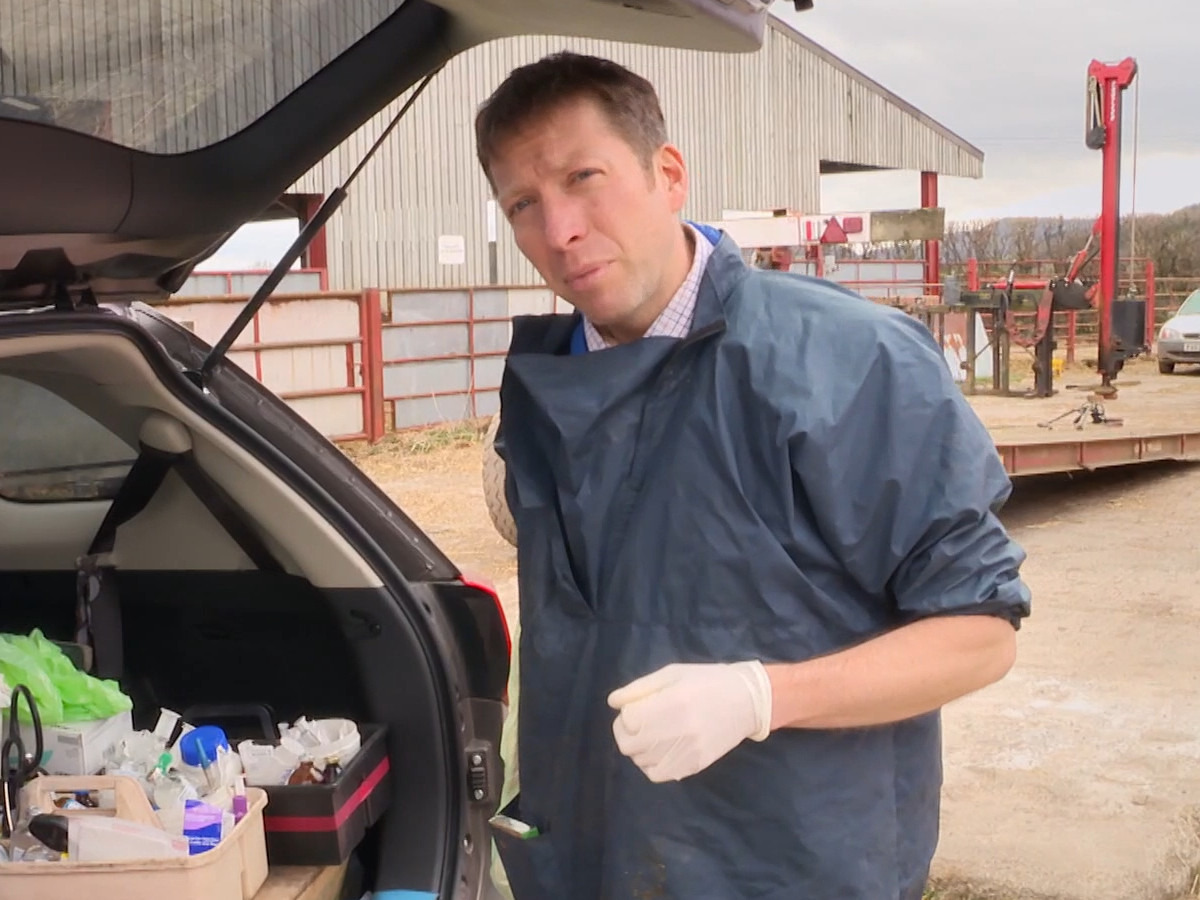 Prime Video: The Yorkshire Vet - Series 2