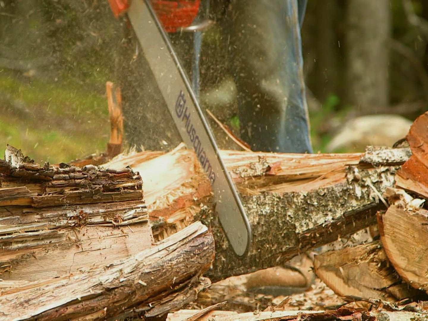 Prime Video: Building Alaska - Season 3