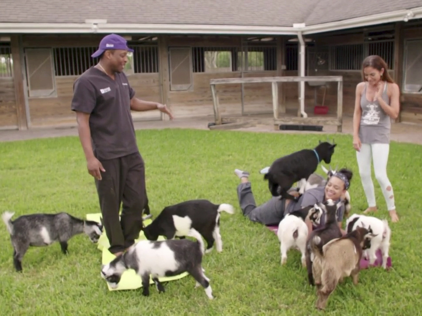 Prime Video: The Vet Life - Season 4