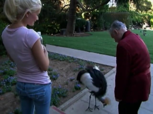 Amazon.com: The Girls Next Door - Season 4 : Kevin Burns, Paolo Durazzo ...