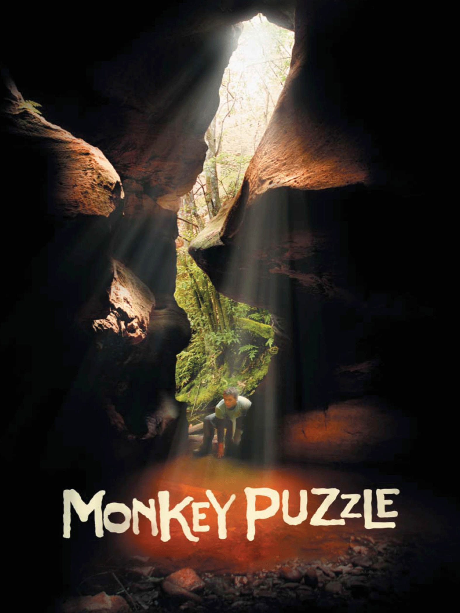 Prime Video: Monkey Puzzle
