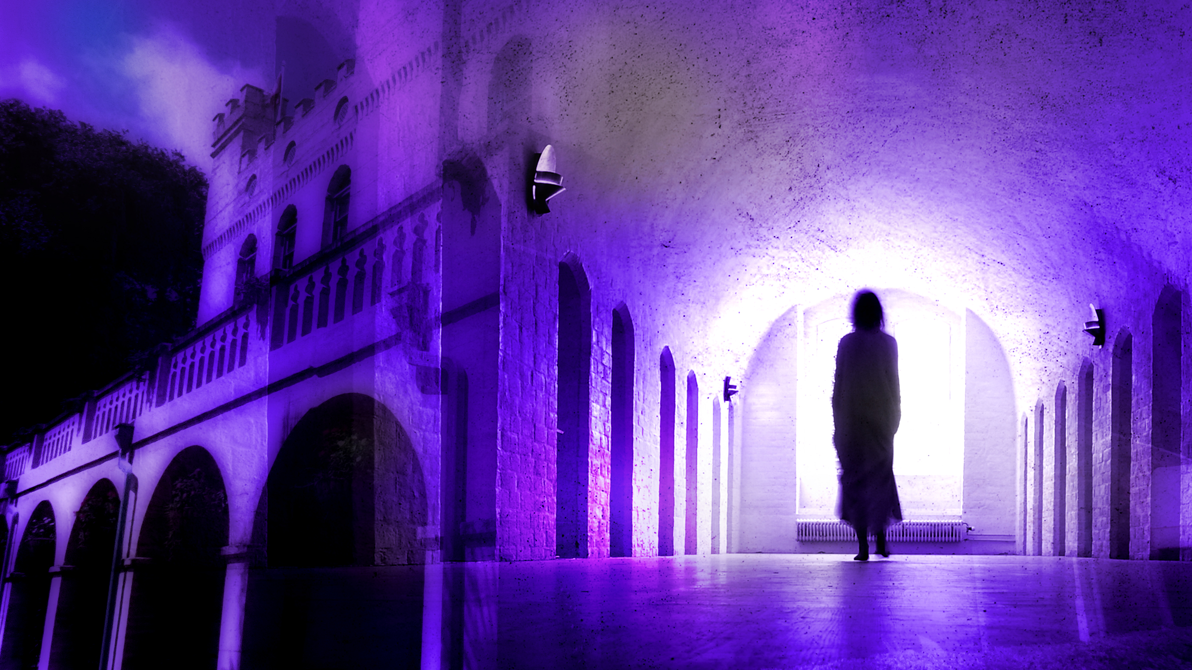 Prime Video: Anomaly: Haunting Stories of Paranormal Investigations
