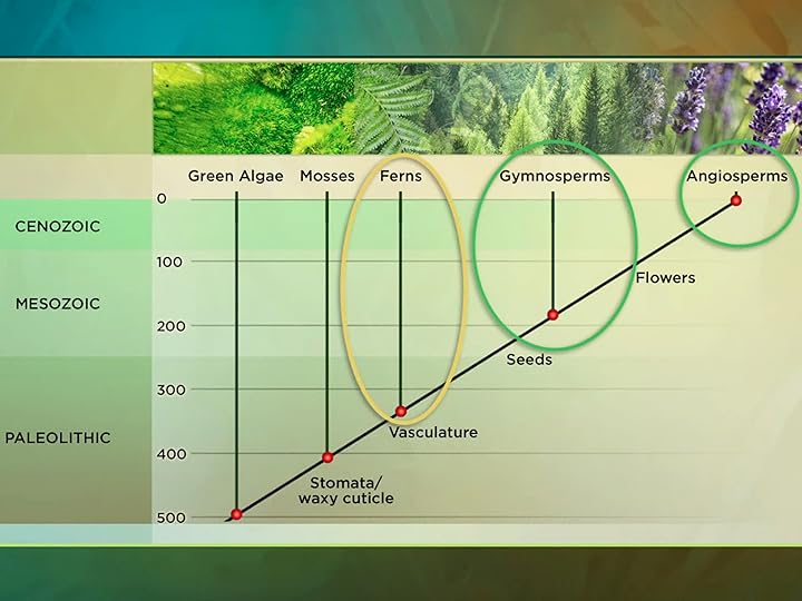 Prime Video: The Botanist's Eye: Identifying the Plants around You