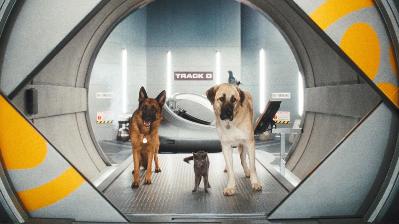 Watch Cats & Dogs: The Revenge of Kitty Galore | Prime Video