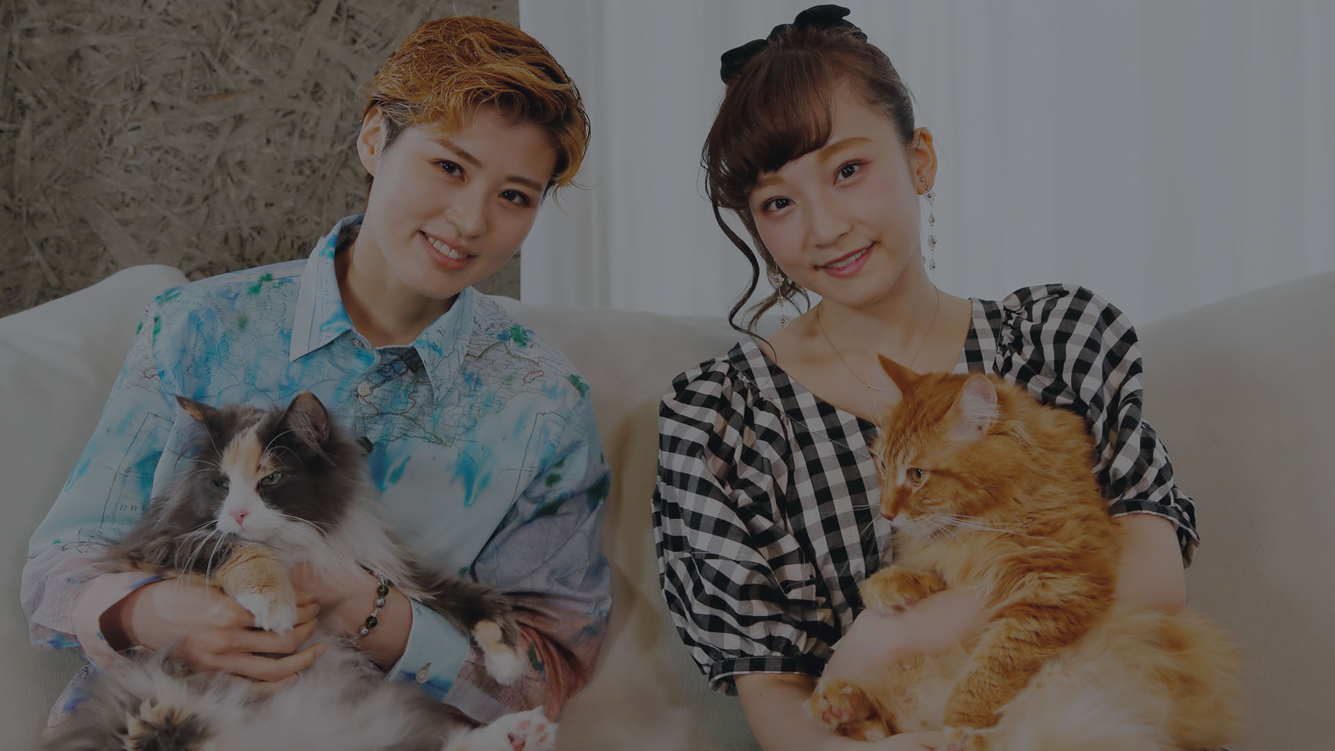 Amazon.co.jp: TAKARAZUKAあにまるハウス#4「彩みちる・英かおと」を観る | Prime Video