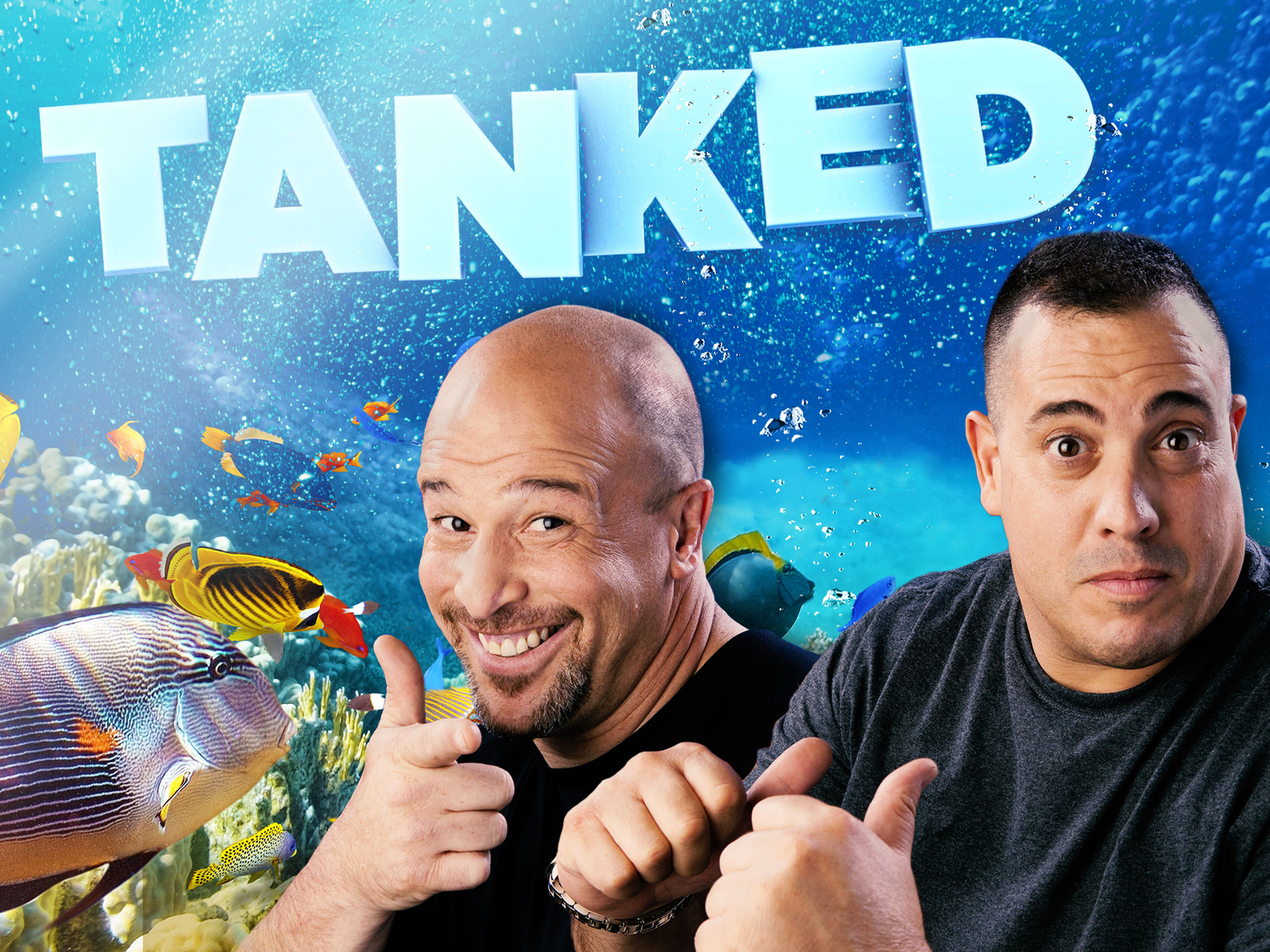 Tanked Tv Show