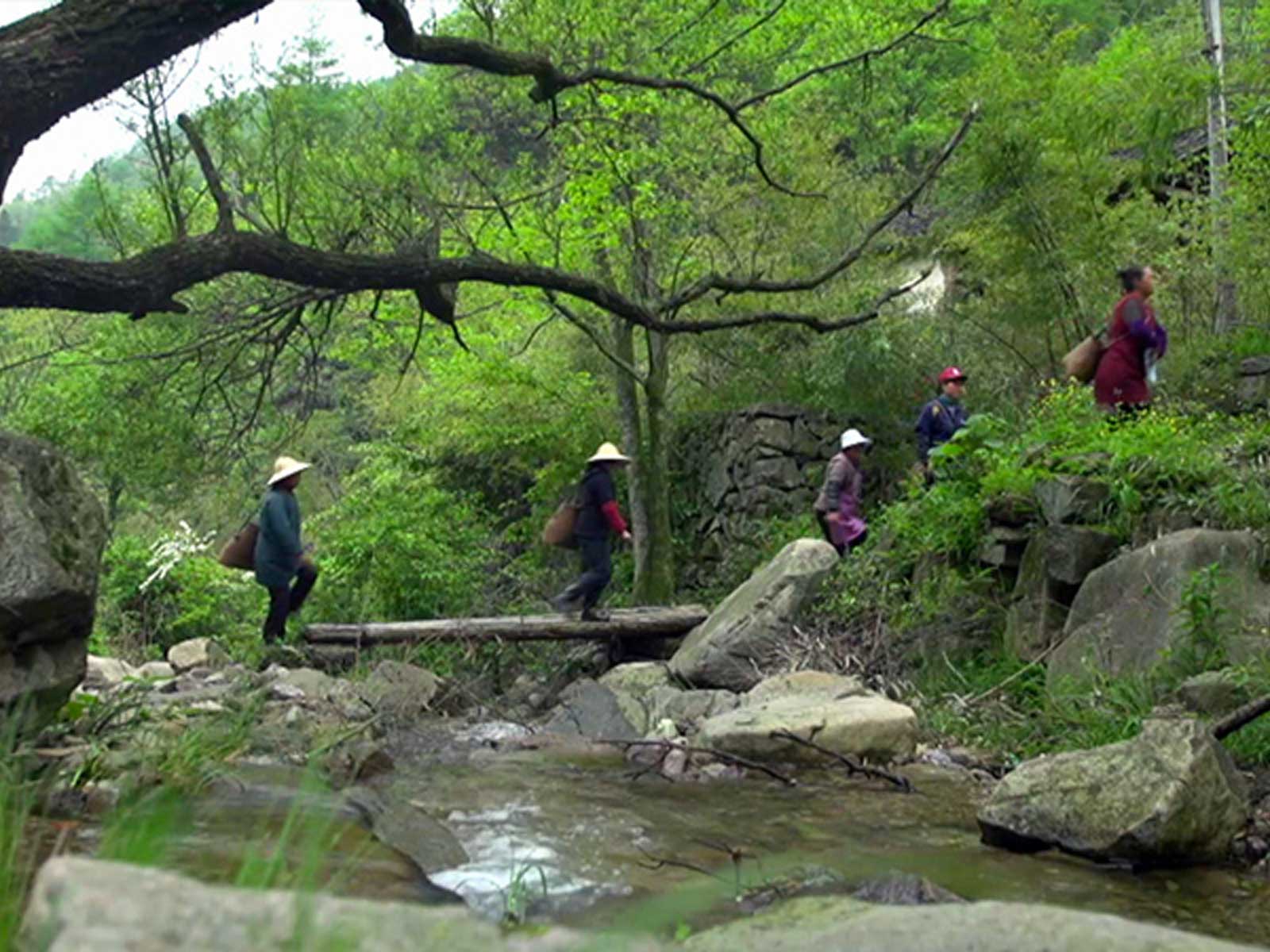 Prime Video: Secret China - Season 1