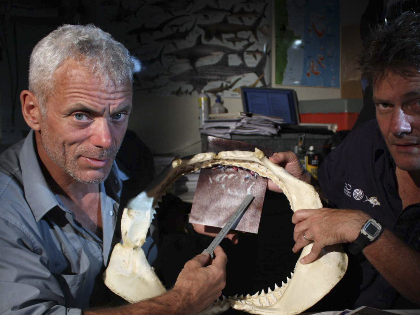 Prime Video: Monstros do Rio - Season 1