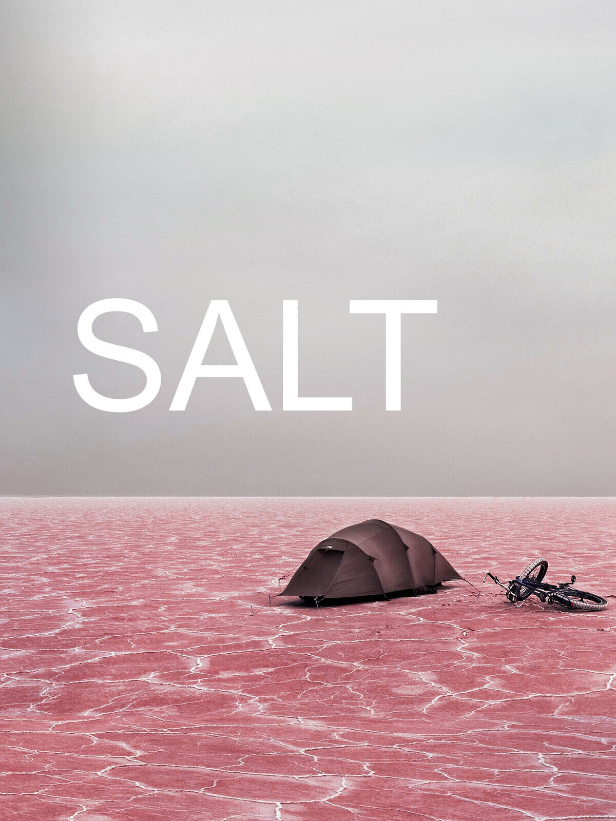Prime Video: Salt