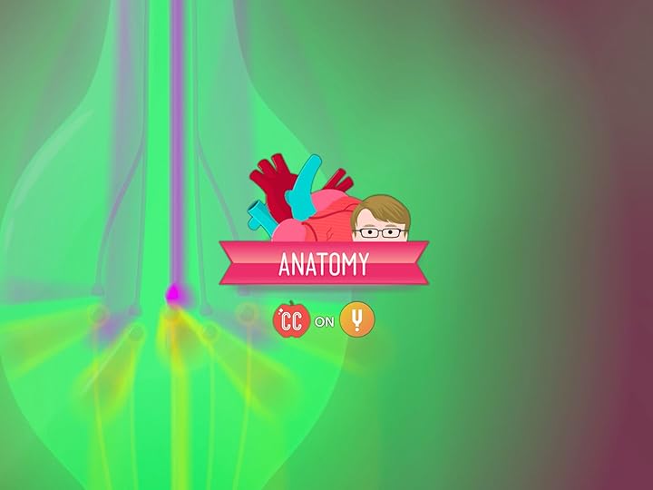 Prime Video: Crash Course: Anatomy & Physiology - Season 1