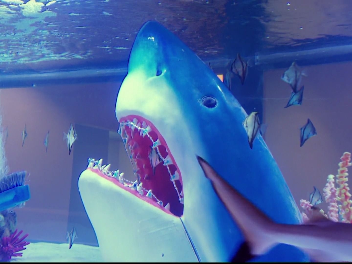 Prime Video: Tanked - Season 2