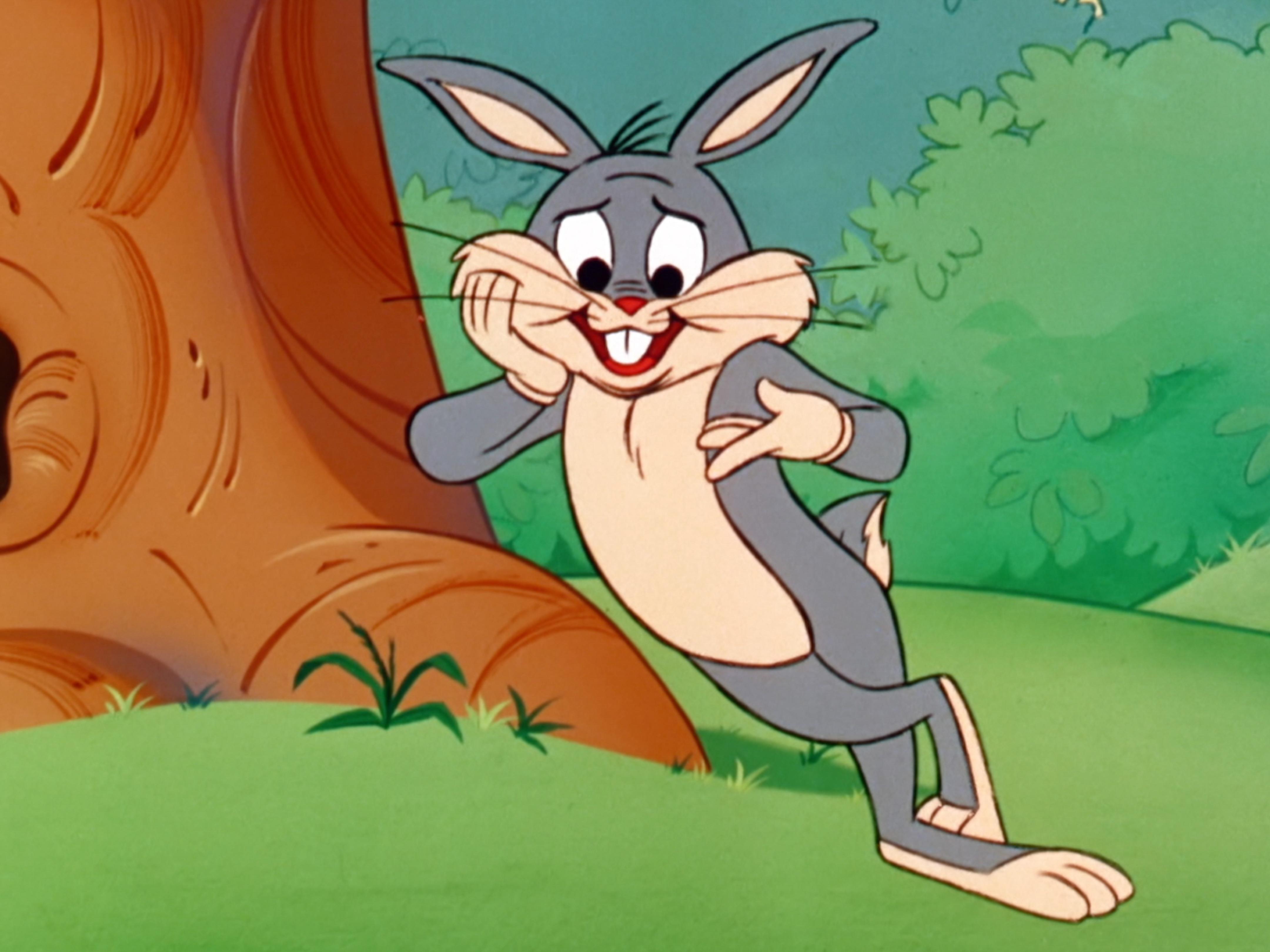 Prime Video: Looney Tunes - Season 31