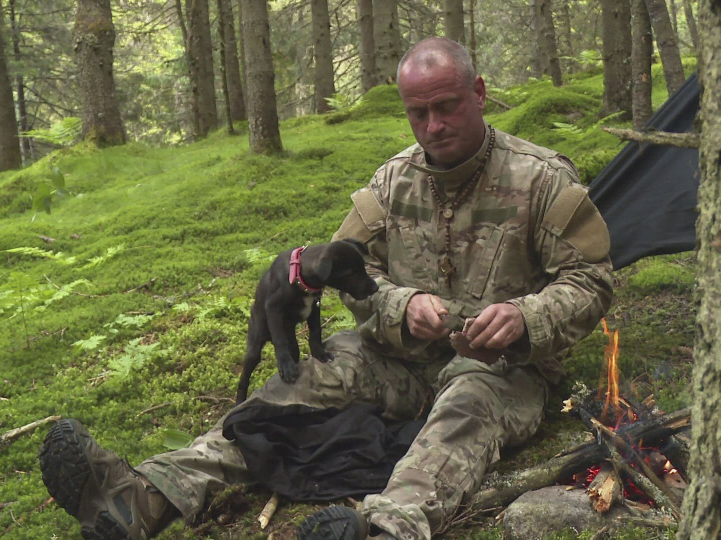 Prime Video: Dude, You're Screwed - Season 2