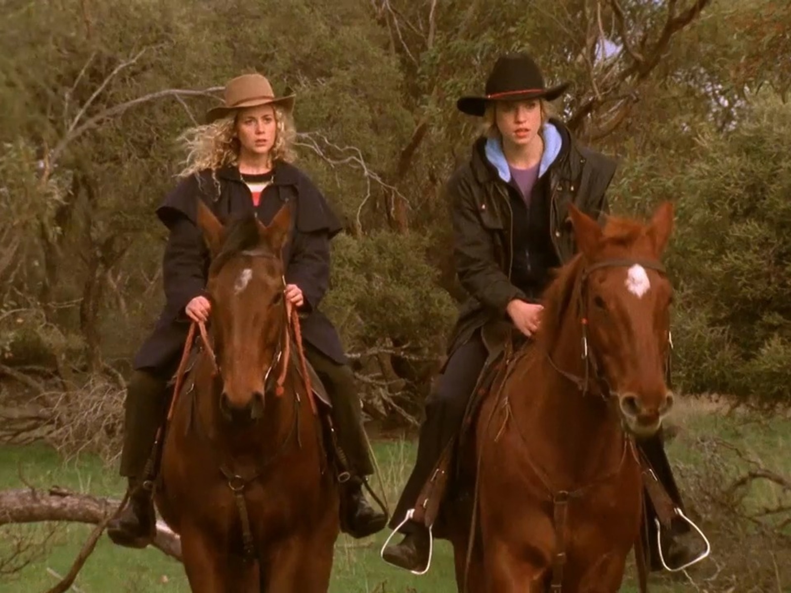 Prime Video: McLeod's Daughters