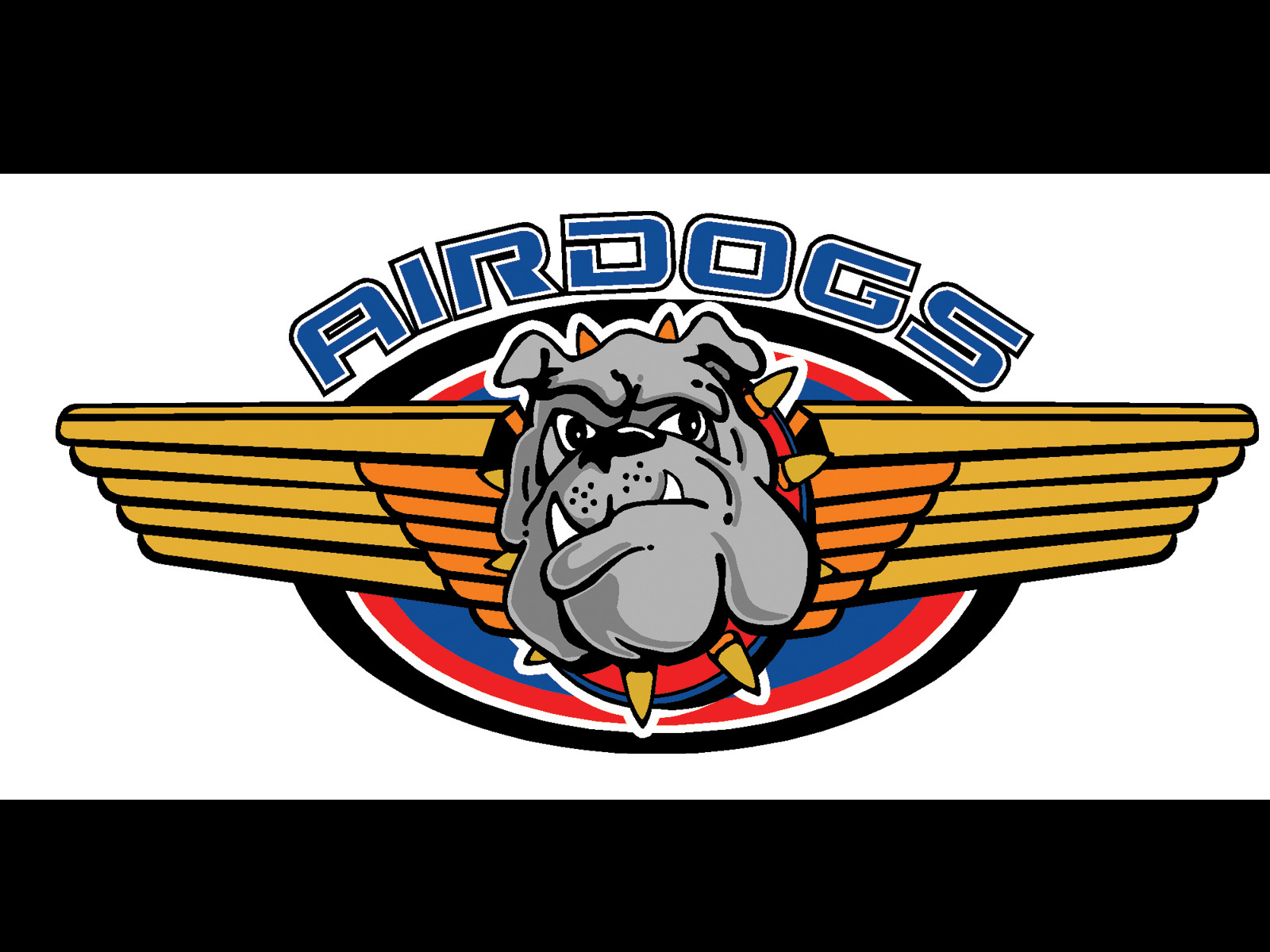 Prime Video: Air Dogs