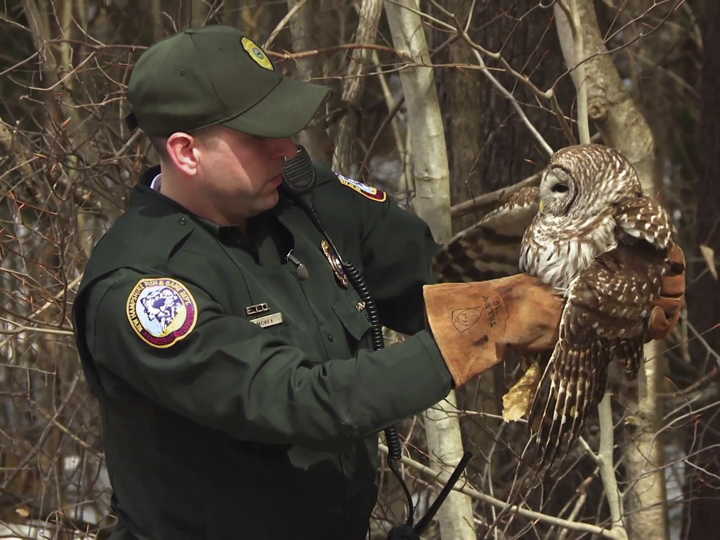 Prime Video: North Woods Law - Season 13