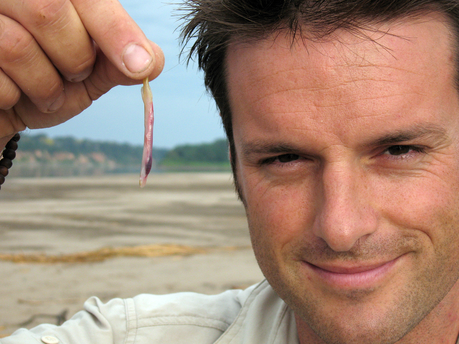 Prime Video: Nick Baker's Weird Creatures