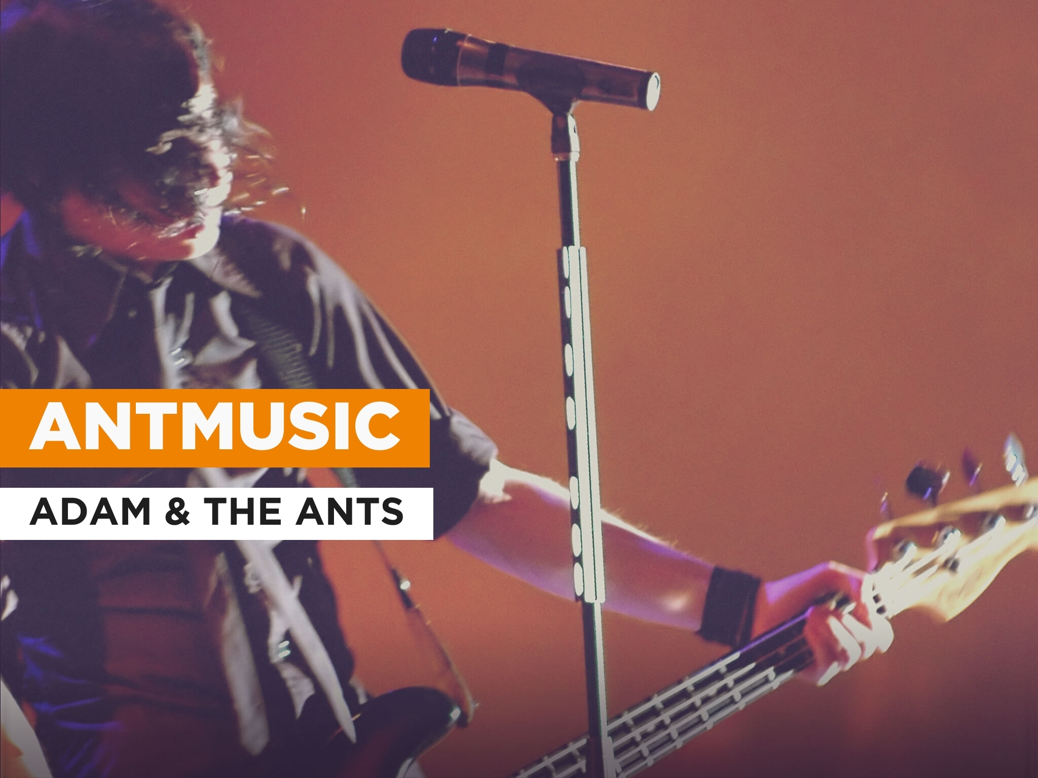 Prime Video: Antmusic in the Style of Adam & The Ants